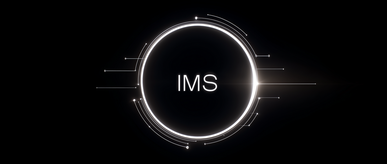 Integrated management systems - AIP automotive - DEV